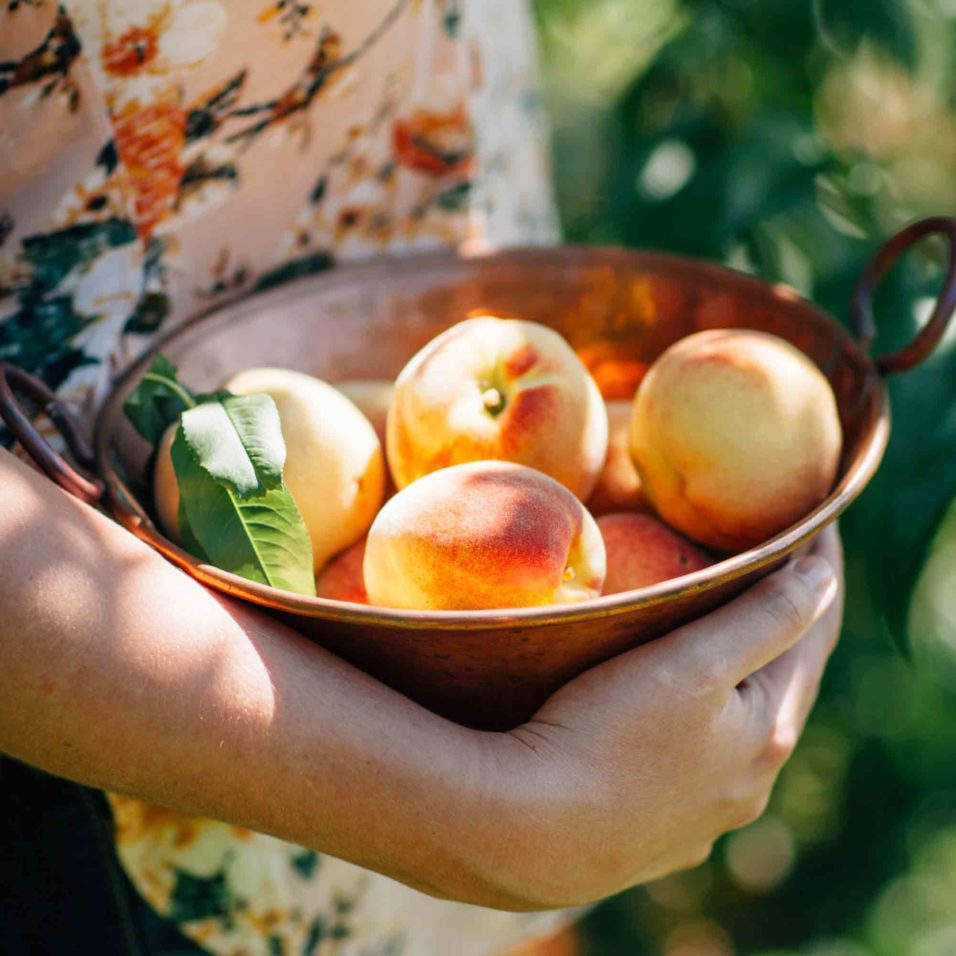 Cheong Holistic Medicine | 여름철 건강을 지키는데 제격인 복숭아 | Vancouver, BC, Canada